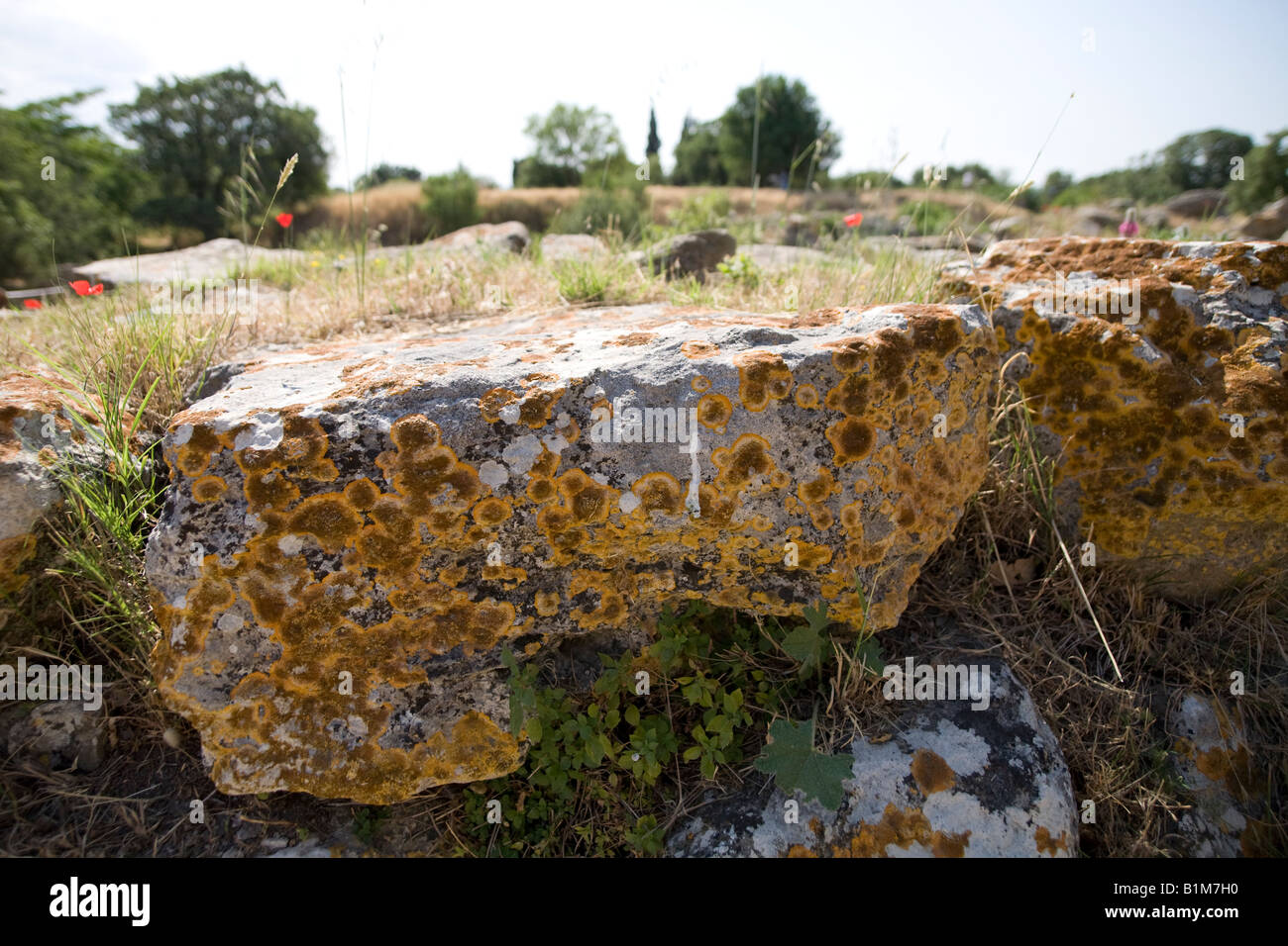 Walls of Troy on the Aegean Coast of Turkey Stock Photo - Alamy