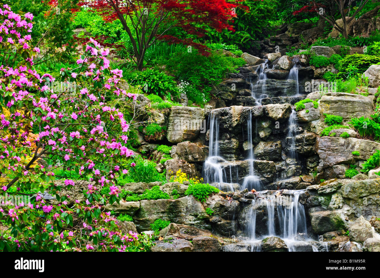 Cascading waterfall in japanese garden in springtime Stock Photo - Alamy