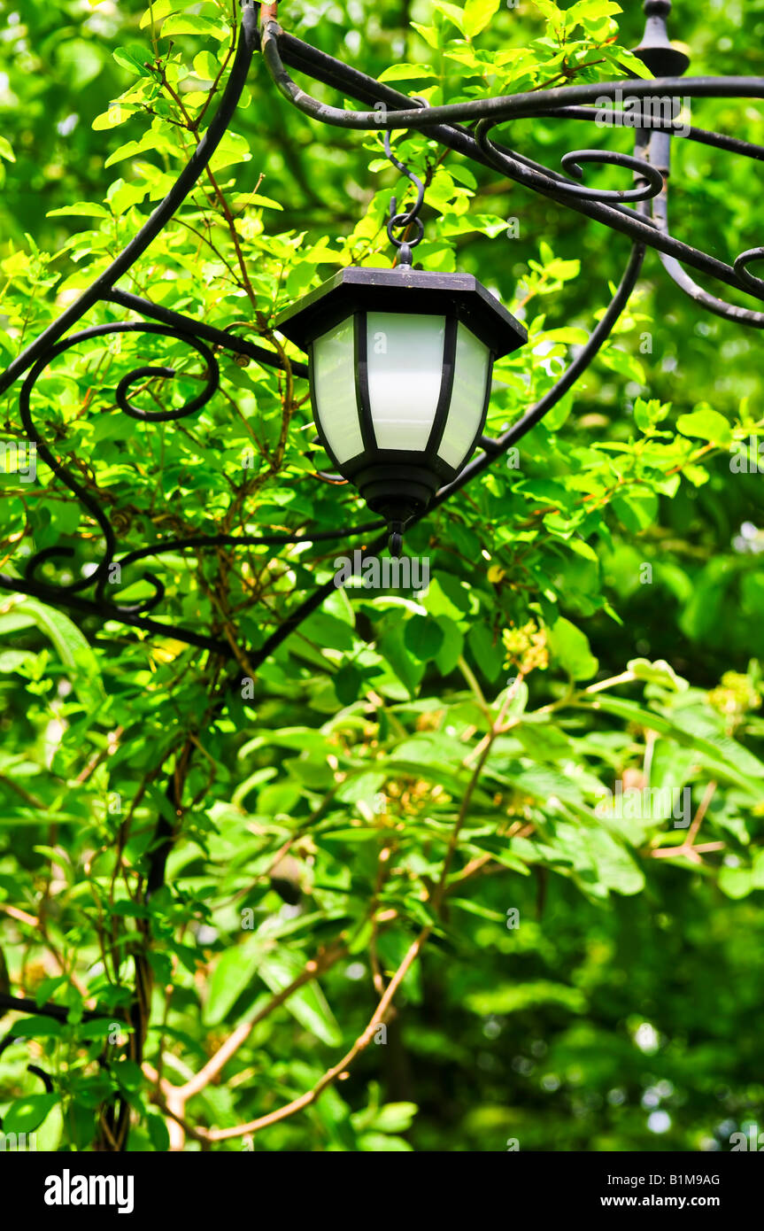 Wrought iron arbor with lantern in lush green garden Stock Photo - Alamy