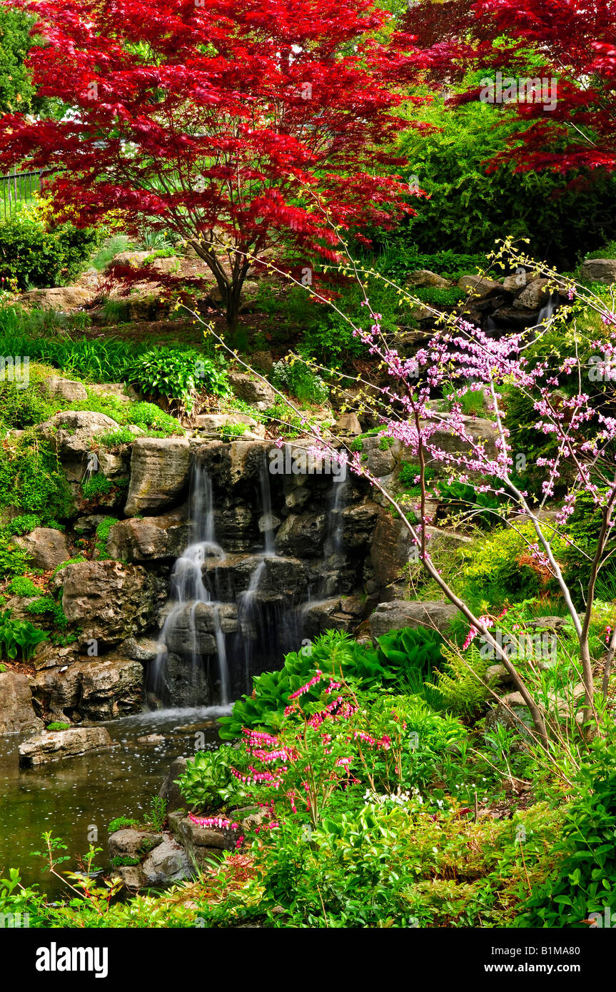 Cascading waterfall in japanese garden in springtime Stock Photo - Alamy