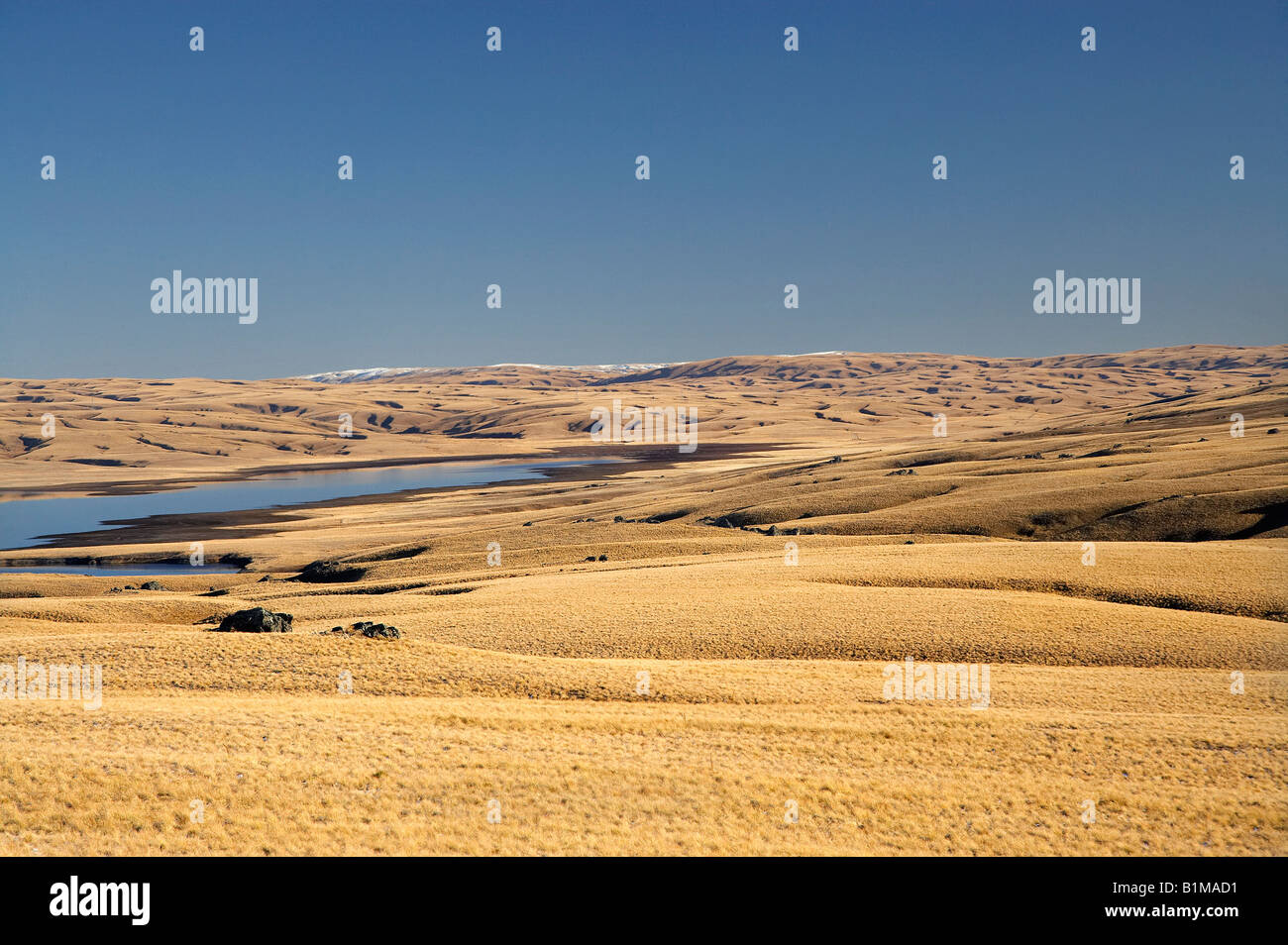 Lammermoor Range and Logan Burn Reservoir Great Moss Swamp Old Dunstan ...
