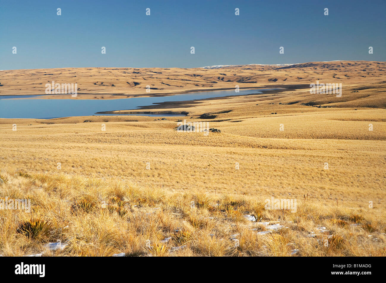 Lammermoor Range and Logan Burn Reservoir Great Moss Swamp Old Dunstan ...