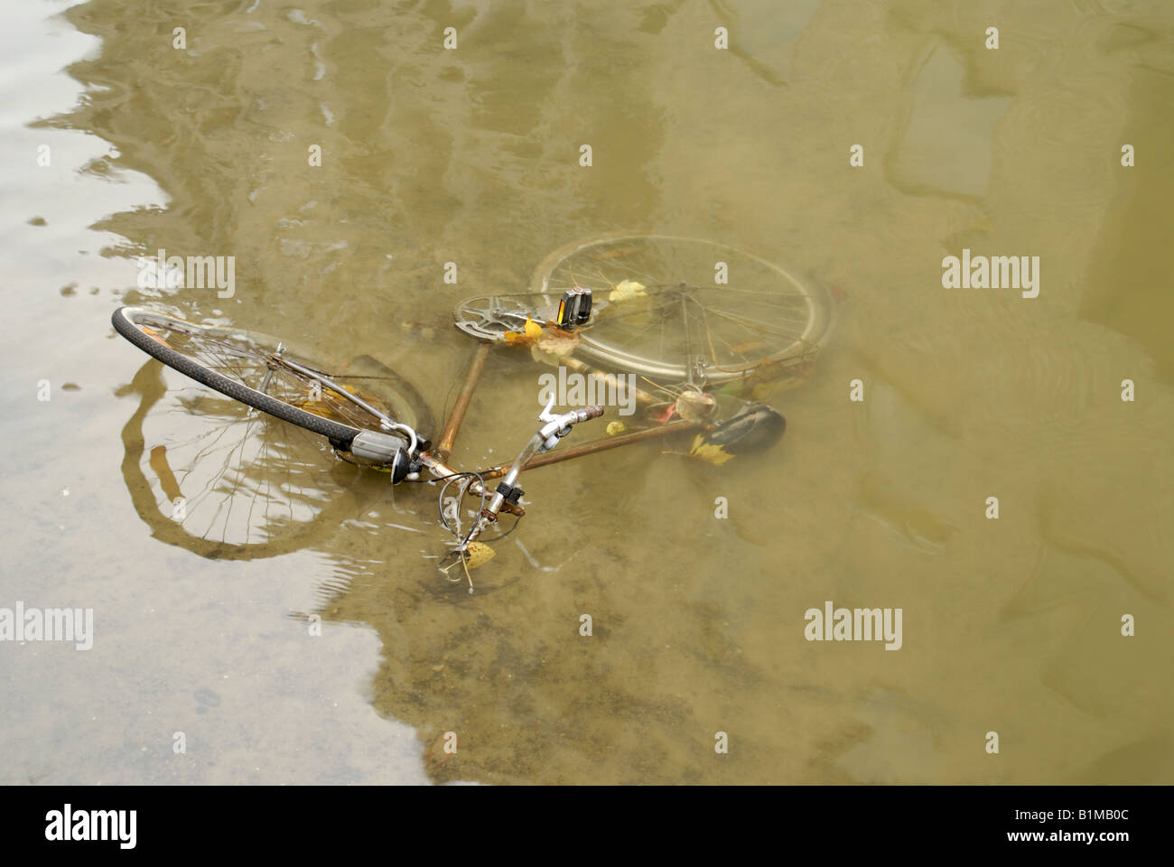 Bicycle dumped in trash hi-res stock photography and images - Alamy