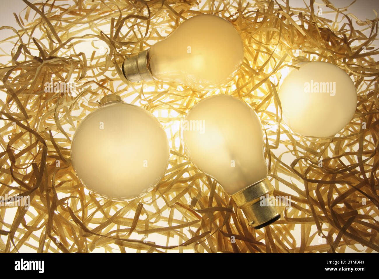 Light Bulbs on Paper Shreddings Stock Photo - Alamy