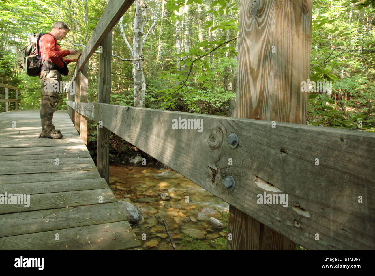 A hiker on Greeley Ponds Trail looks over a trail map on a foot bridge ...