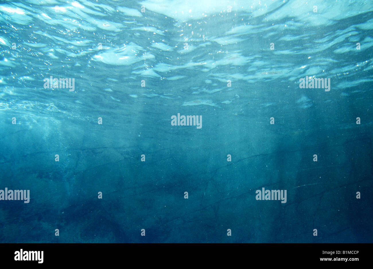 under water ocean sea blue wave light swim play under water ocean sea ...