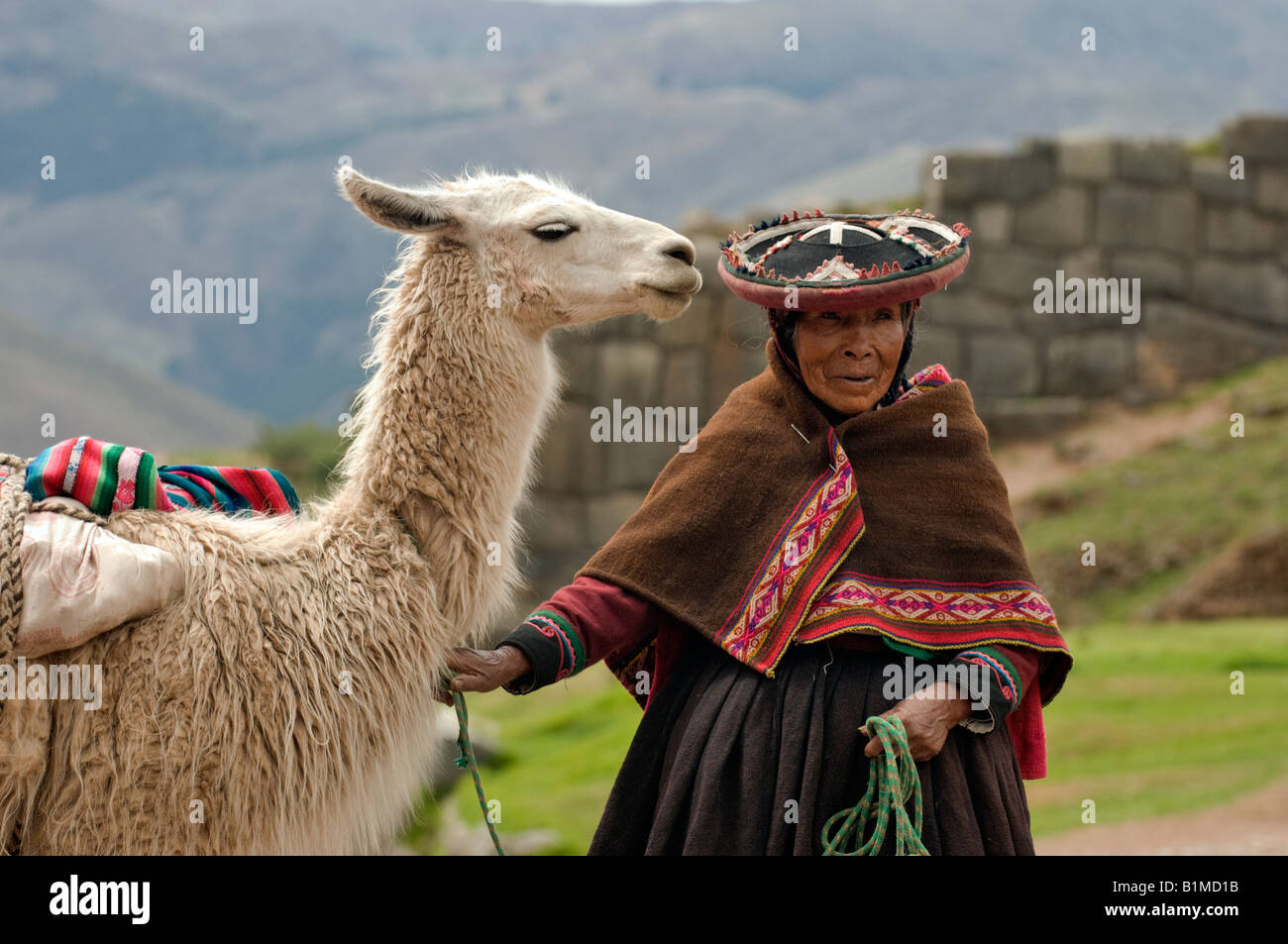 "The Old Lady With the Llama Stock Photo - Alamy