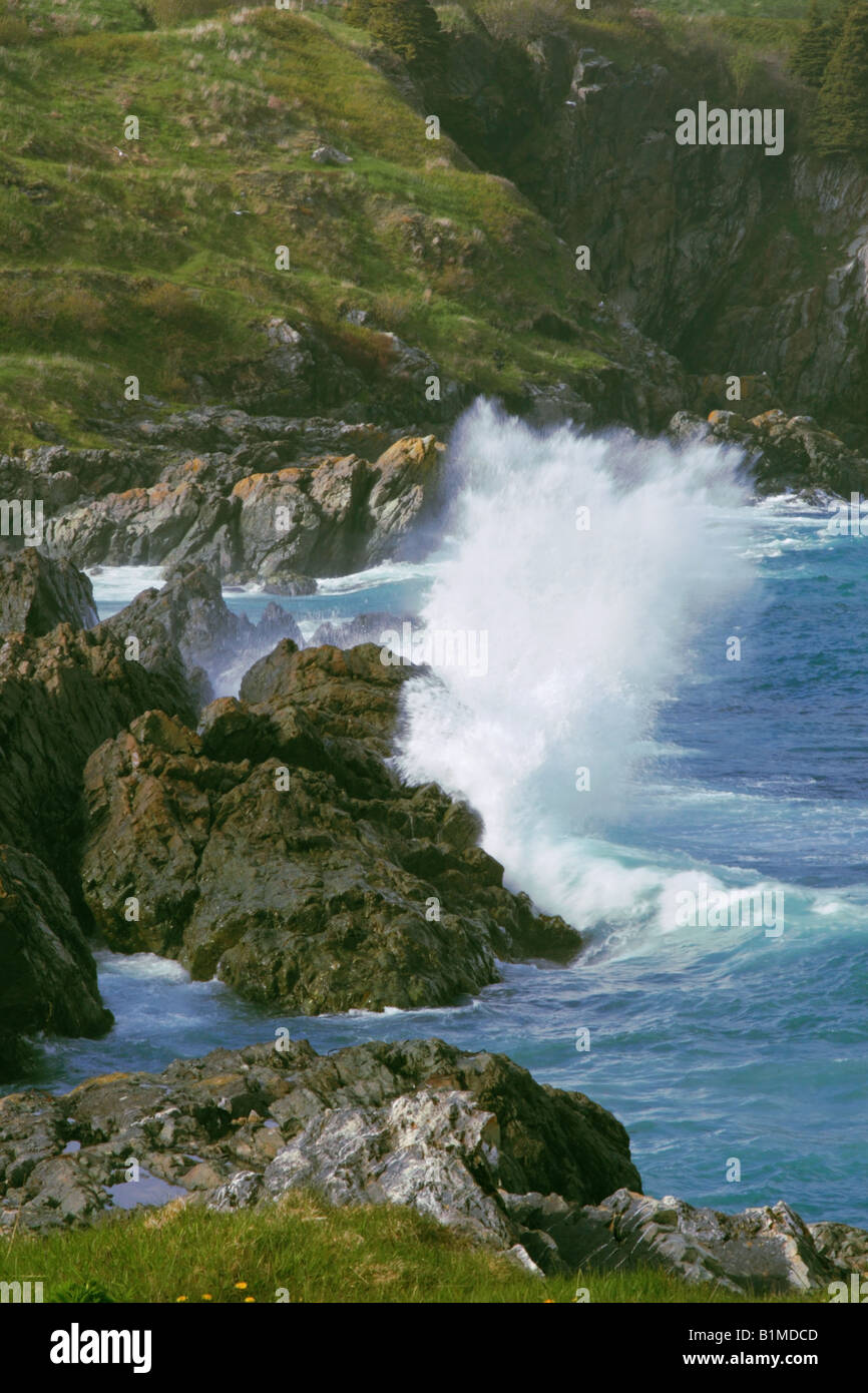 Newfoundland ocean rocks shoreline hi-res stock photography and images ...