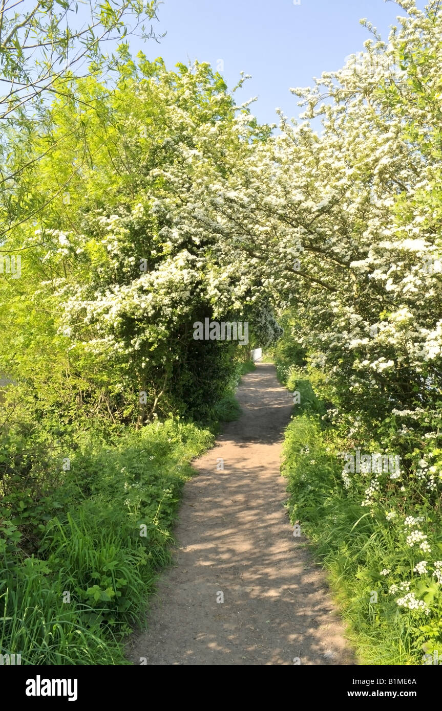 Walking alongside tracks hi-res stock photography and images - Alamy
