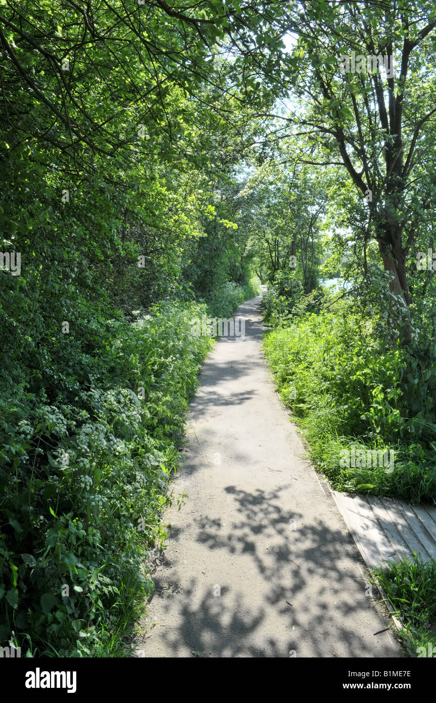 footpath footpaths path paths trail trails track tracks wood woodland ...