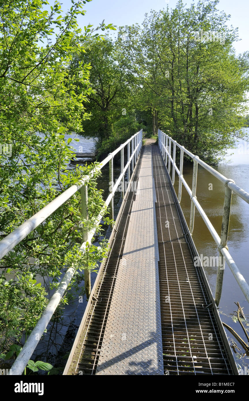 A footpath through woods alongside a lake or river Stock Photo - Alamy
