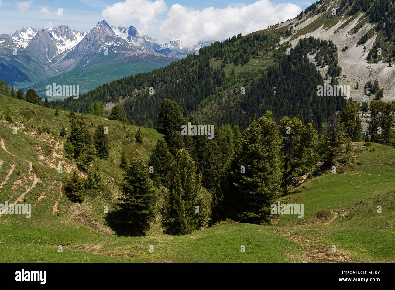 alpine summer landscape with mountains and blue sky Stock Photo - Alamy