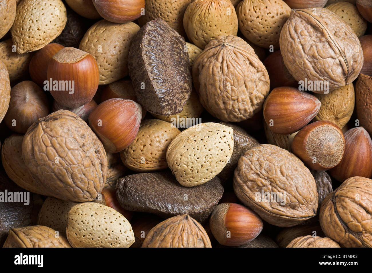 Brazil nuts colour background hi-res stock photography and images - Alamy