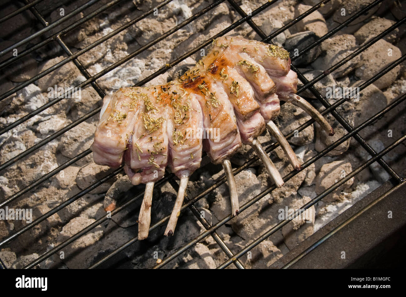 rack of fresh welsh spring lamb grilling on a barbecue Stock Photo - Alamy