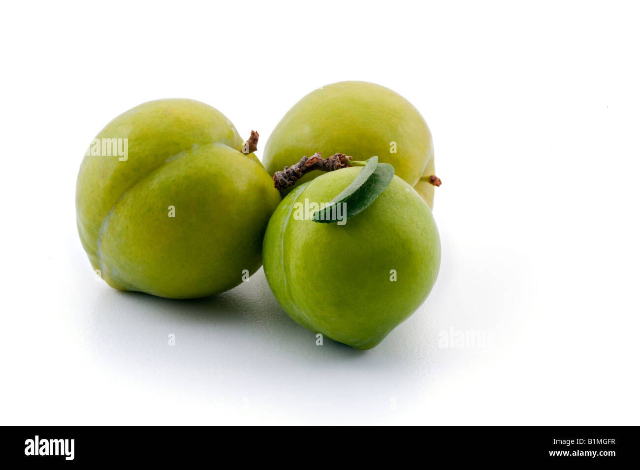 three green pruns isolated on white Stock Photo - Alamy