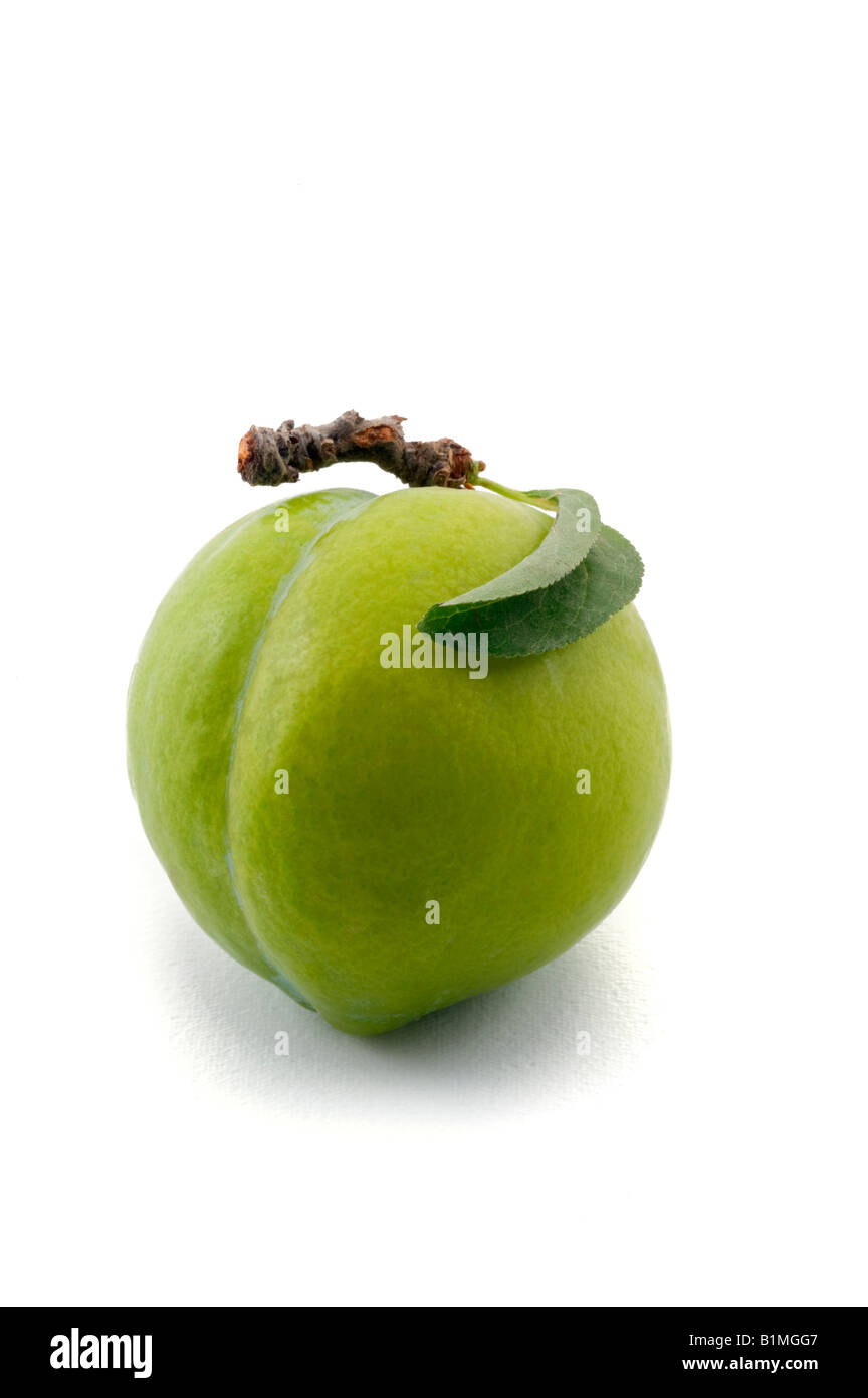 White prun hi-res stock photography and images - Alamy