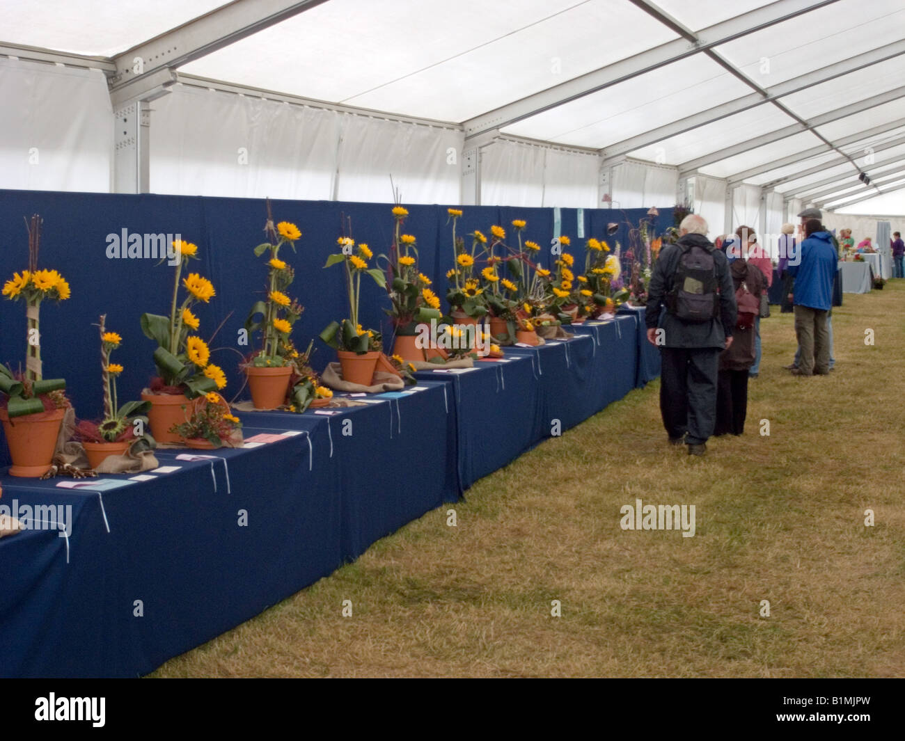 Arranging flower show hi-res stock photography and images - Alamy