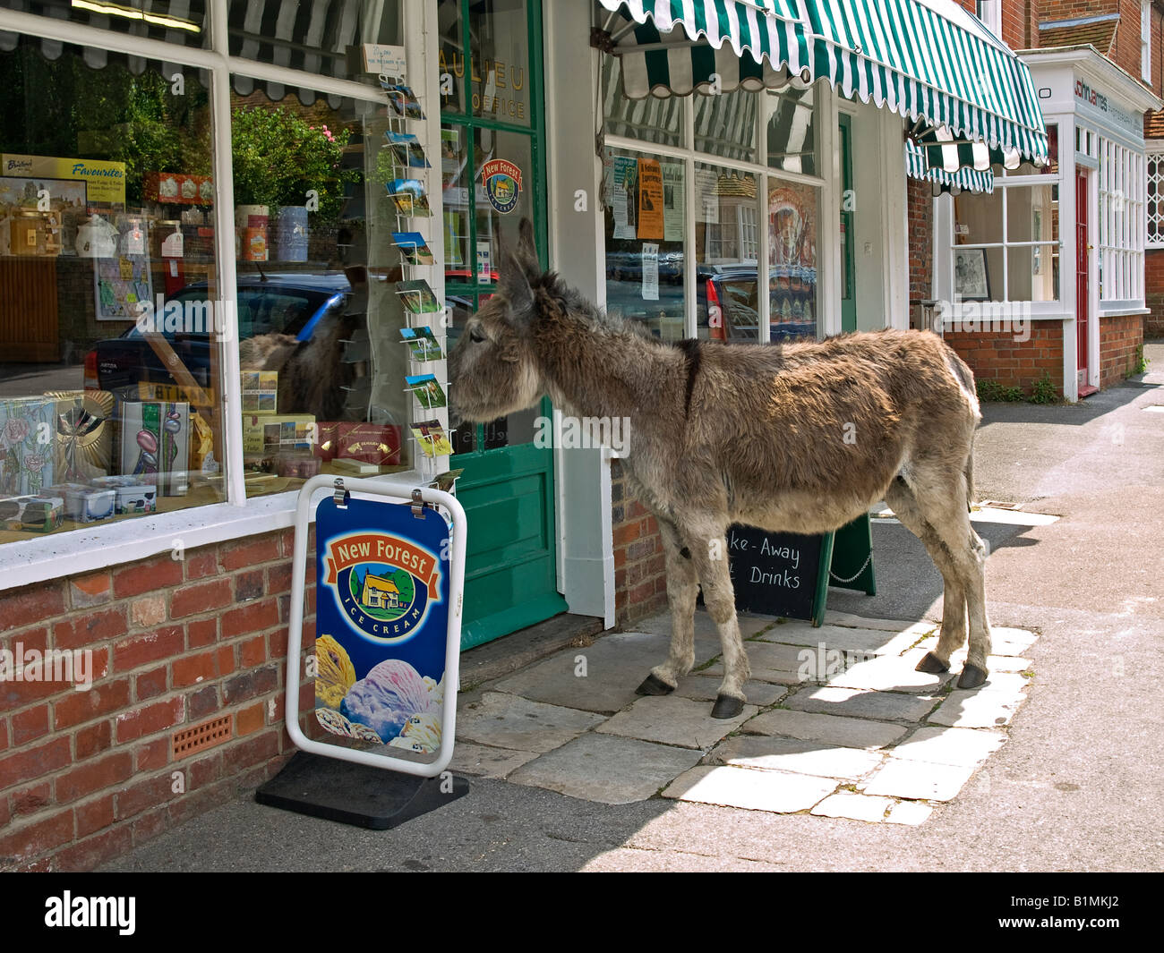 Donkey standing outside village shop in Beaulieu New Forest Hamphire UK ...
