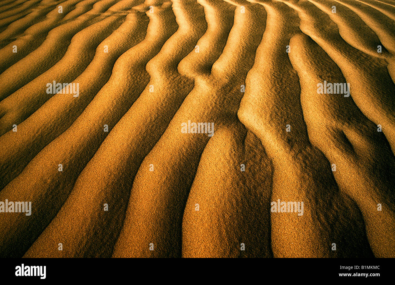 Close up of mini dunes in the Sahara in Algeria Stock Photo - Alamy