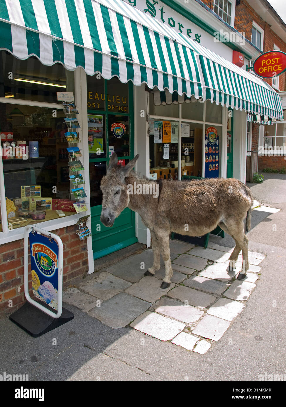 Donkey standing outside village shop in Beaulieu New Forest Hamphire UK ...