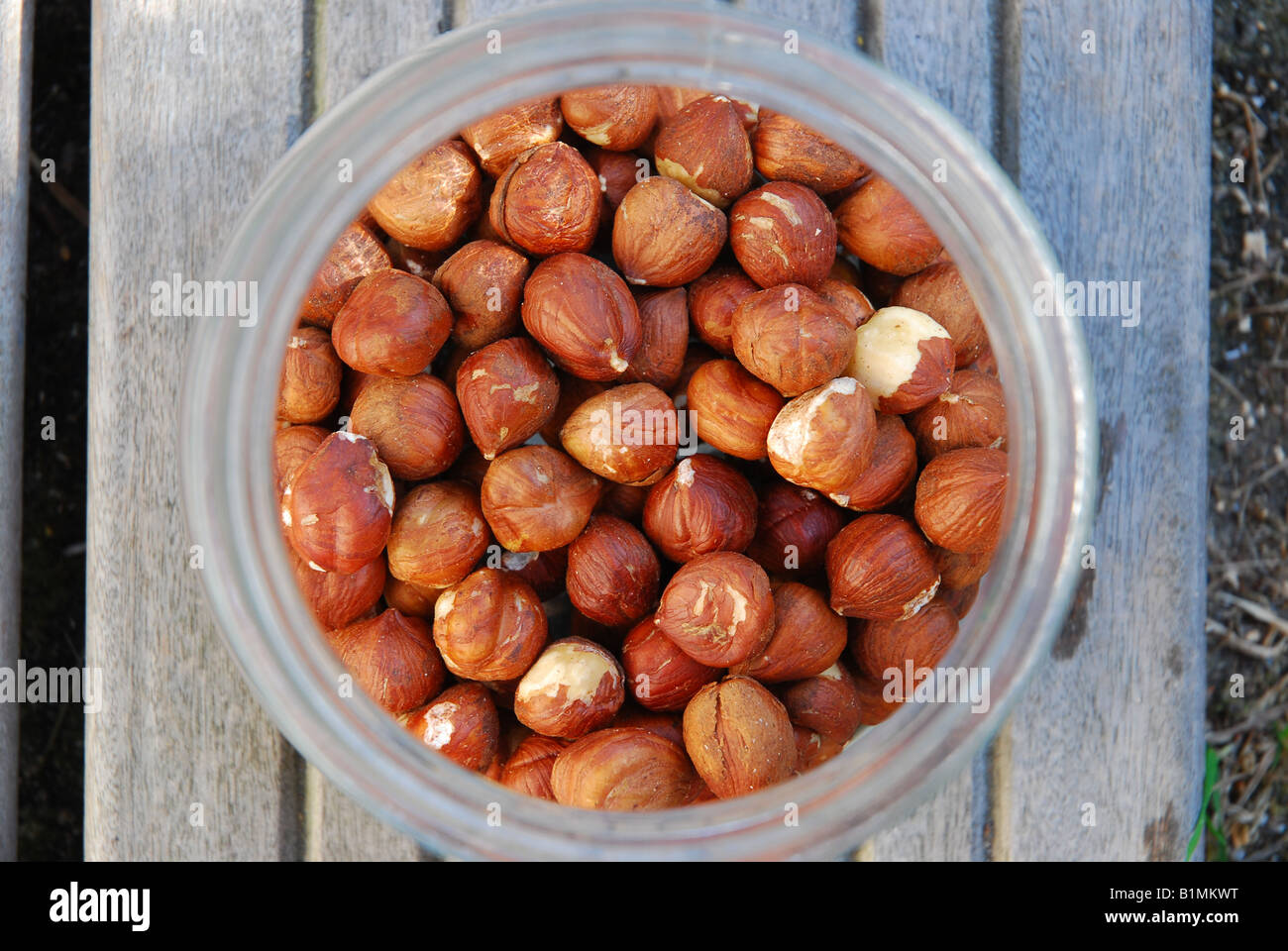 hazelnuts in a mason jar Stock Photo - Alamy
