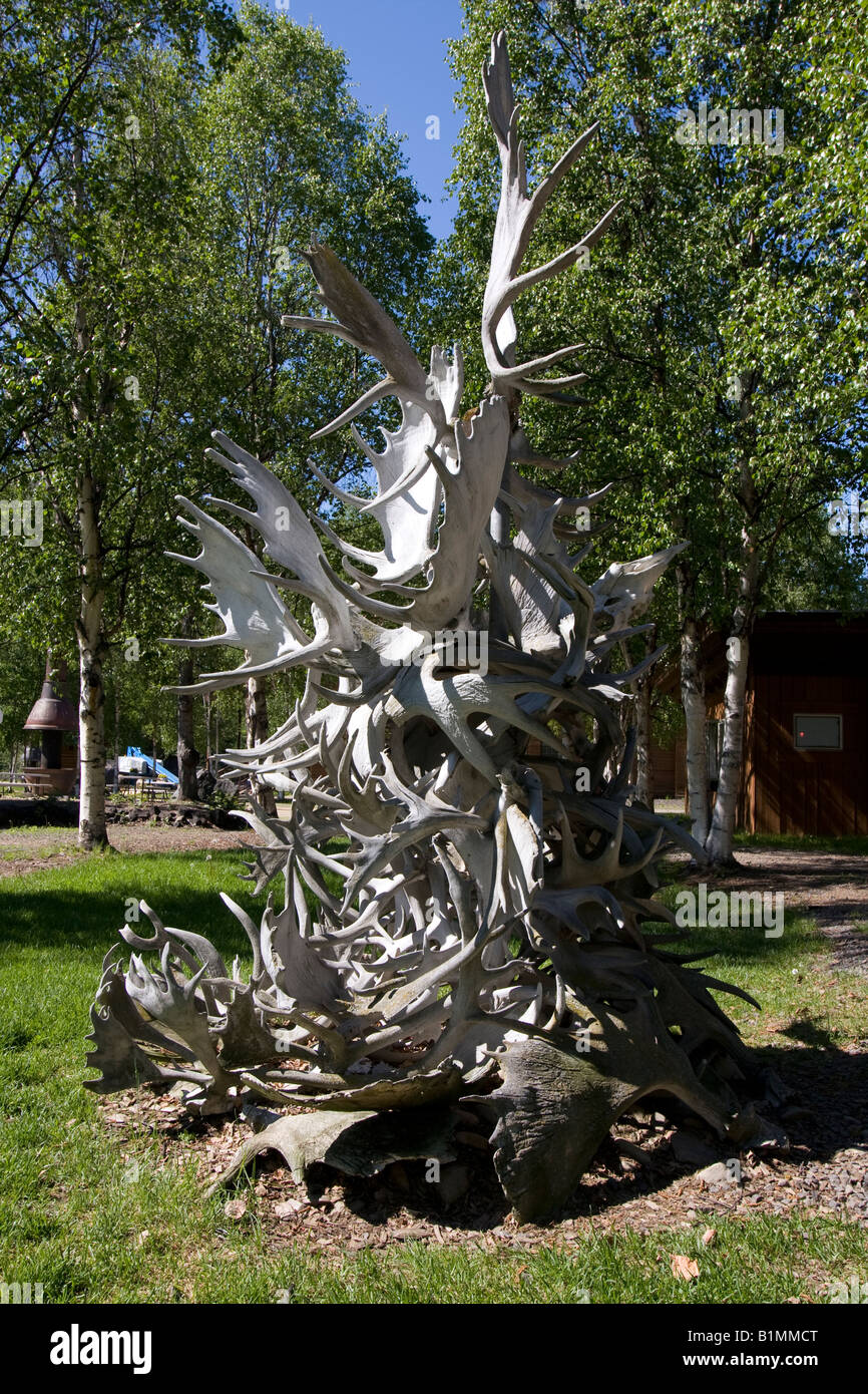 Stack of antlers hi-res stock photography and images - Alamy