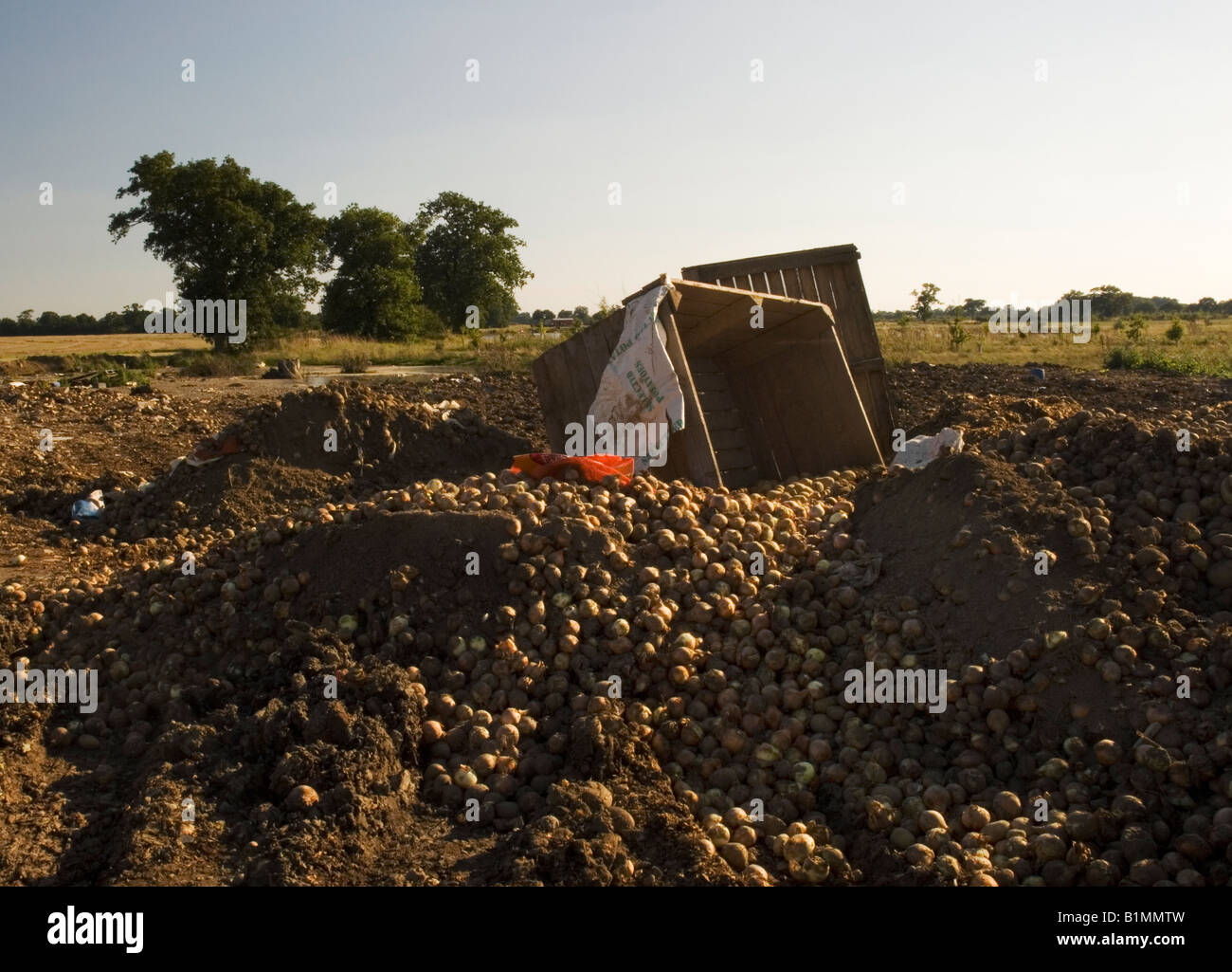Food waste mountain hi-res stock photography and images - Alamy