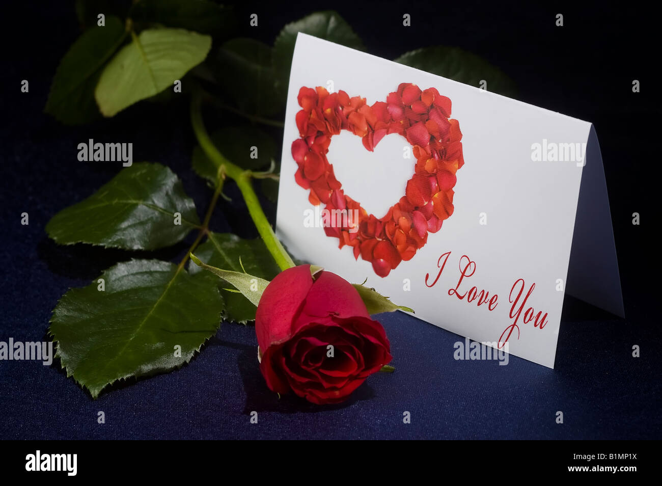 Red rose and valentine card to celebrate the Valentine s day Stock ...