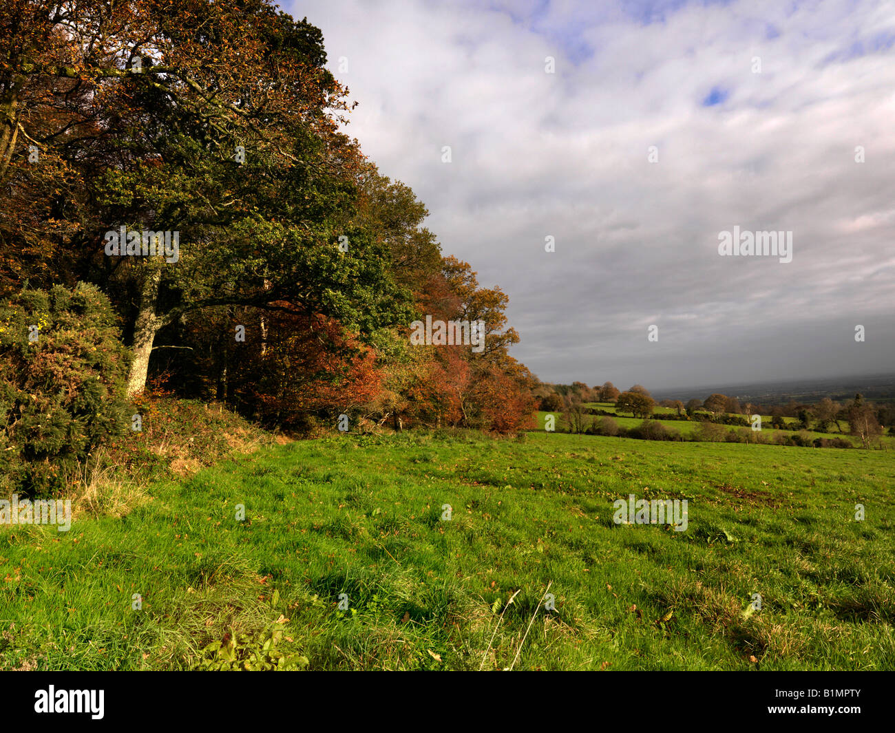 Slieve Bloom Mountains Laois ireland Stock Photo - Alamy