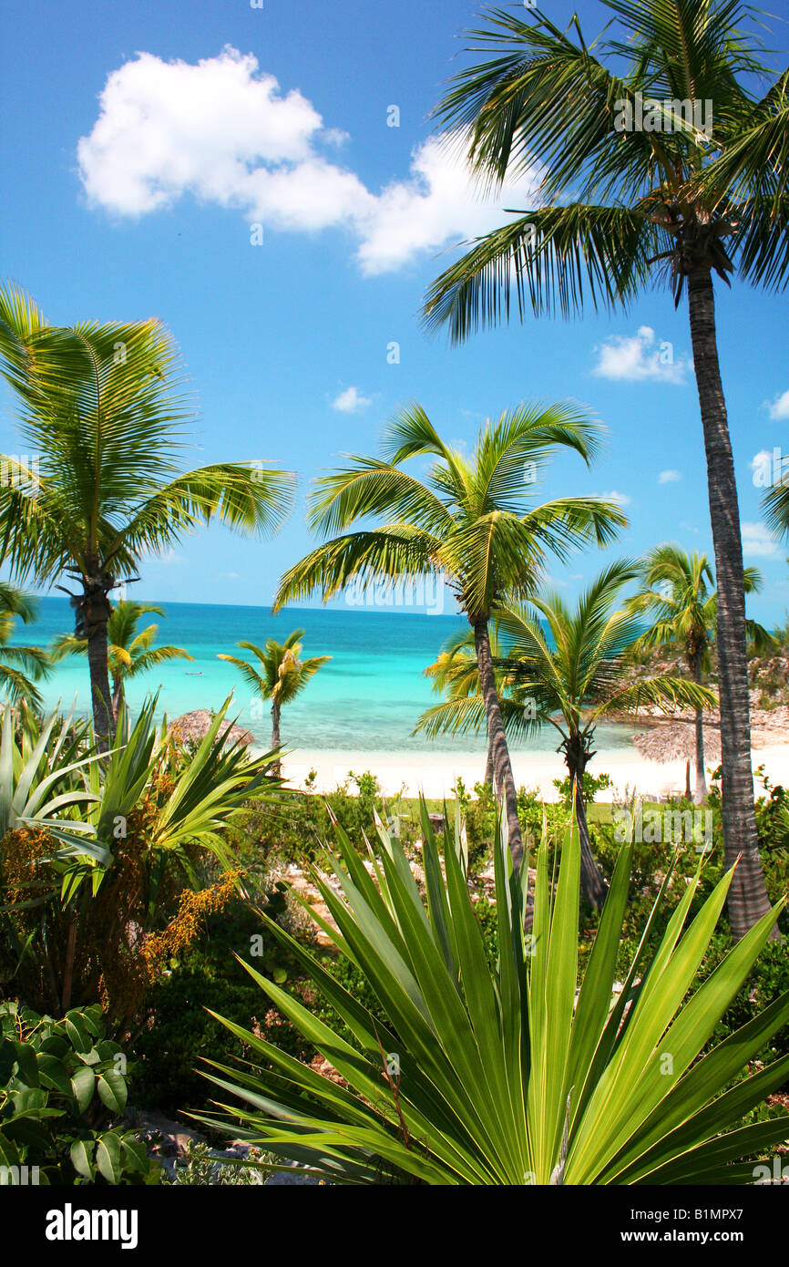Beach in Eleuthera, Bahamas Stock Photo - Alamy