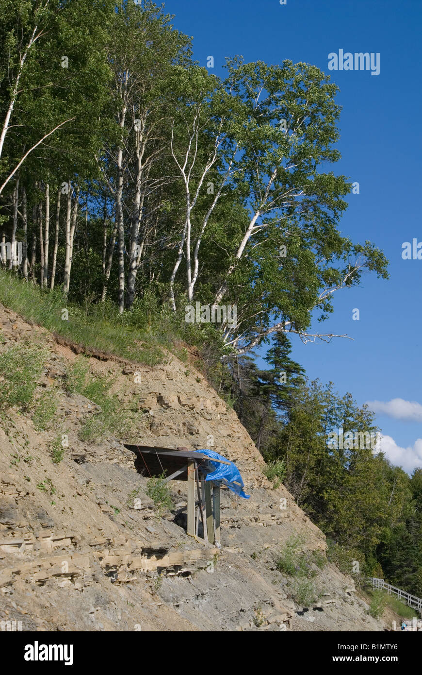 Archeological dig canada hi-res stock photography and images - Alamy