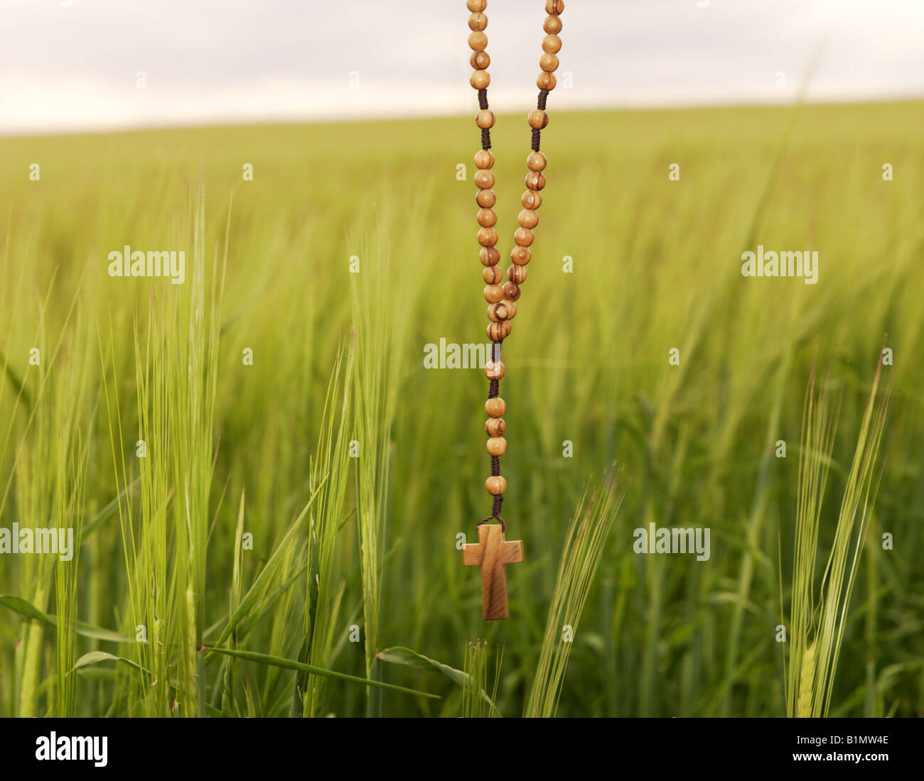 Christian cross wheat hi-res stock photography and images - Alamy