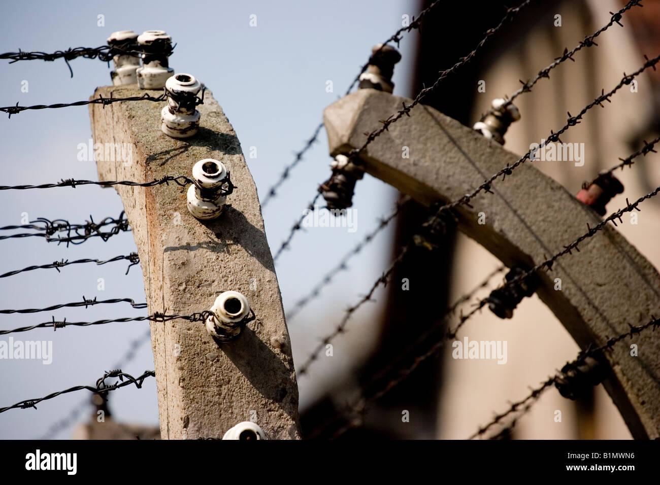 Barbed Wire Fence Concentration Camp