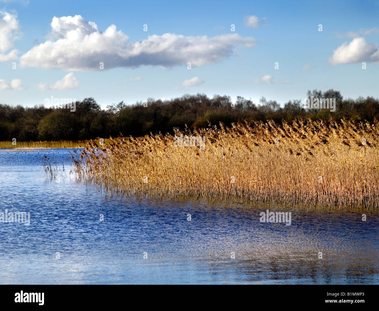 Lough Ree Longford Ireland Stock Photo - Alamy