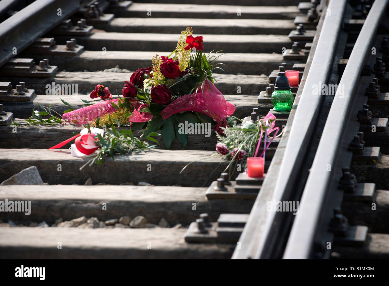 Flowers in train track at Birkenau concentration camp Stock Photo - Alamy