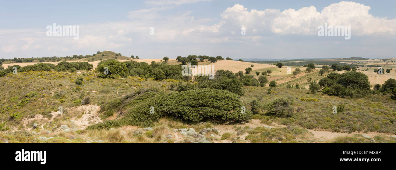 Panorama of view at Troy on the Aegean Coast of Turkey Stock Photo - Alamy