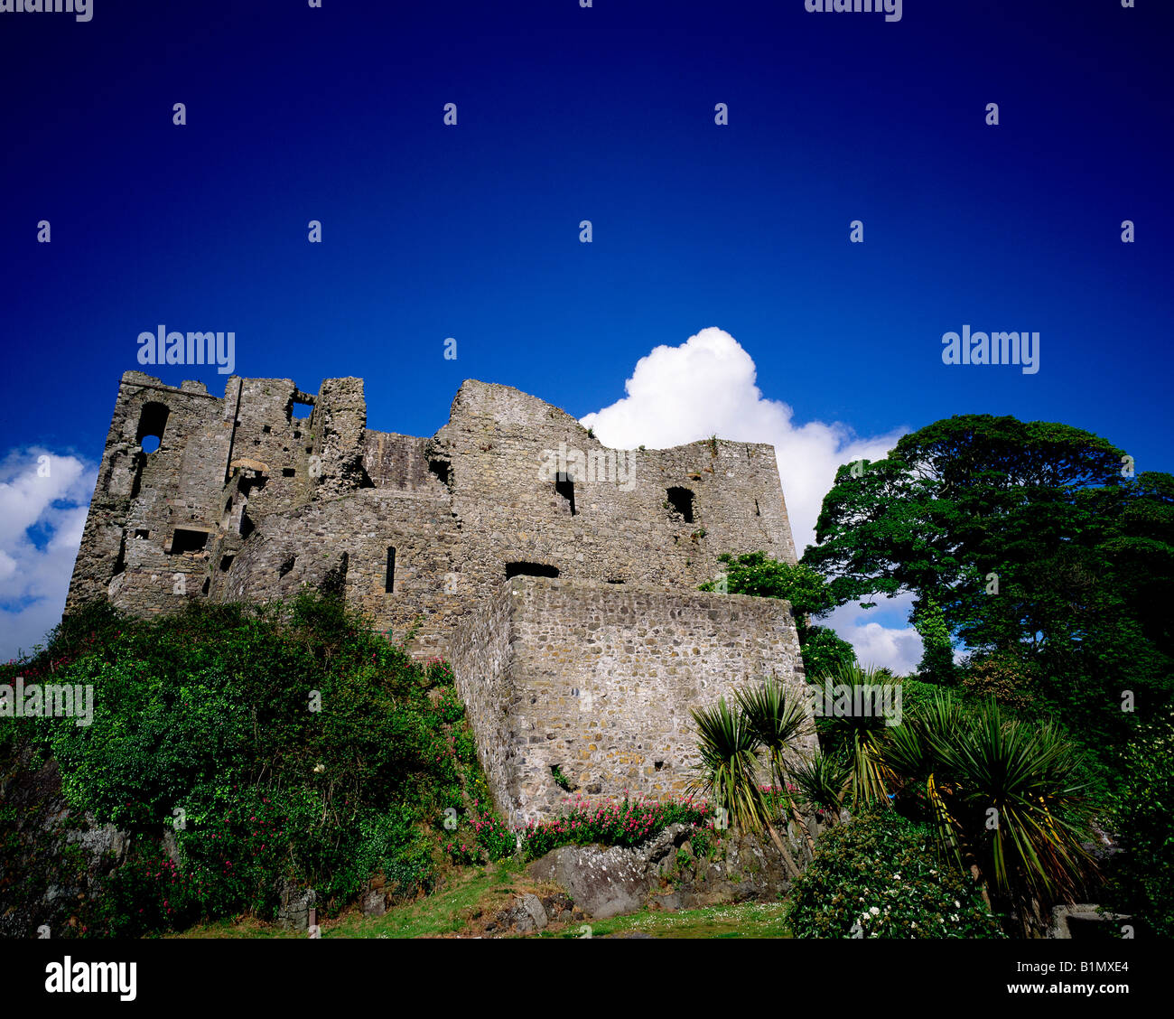 King Johns Castle Carlingford Louth Ireland Stock Photo - Alamy