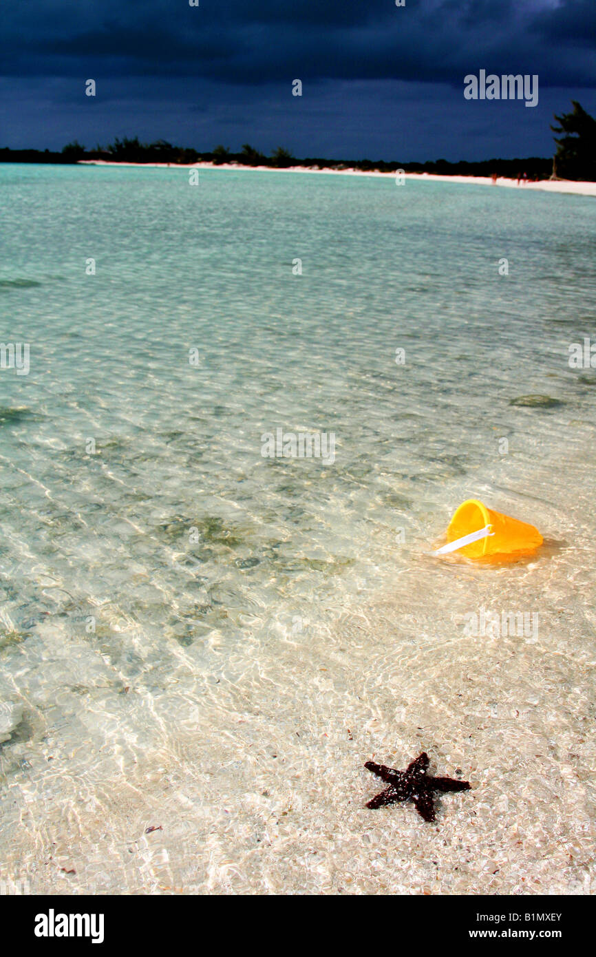 Taylor bay beach hi-res stock photography and images - Alamy