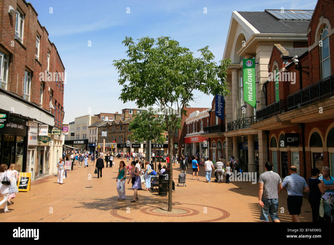 Chelmsford Agway at Timothy Greenwell blog