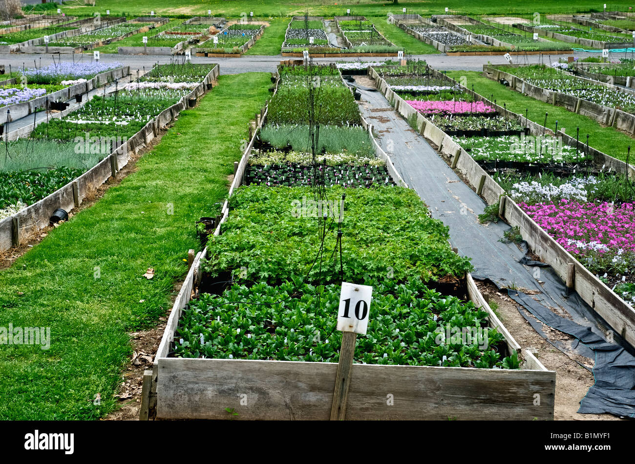 Landscaping and nursery hi-res stock photography and images - Alamy