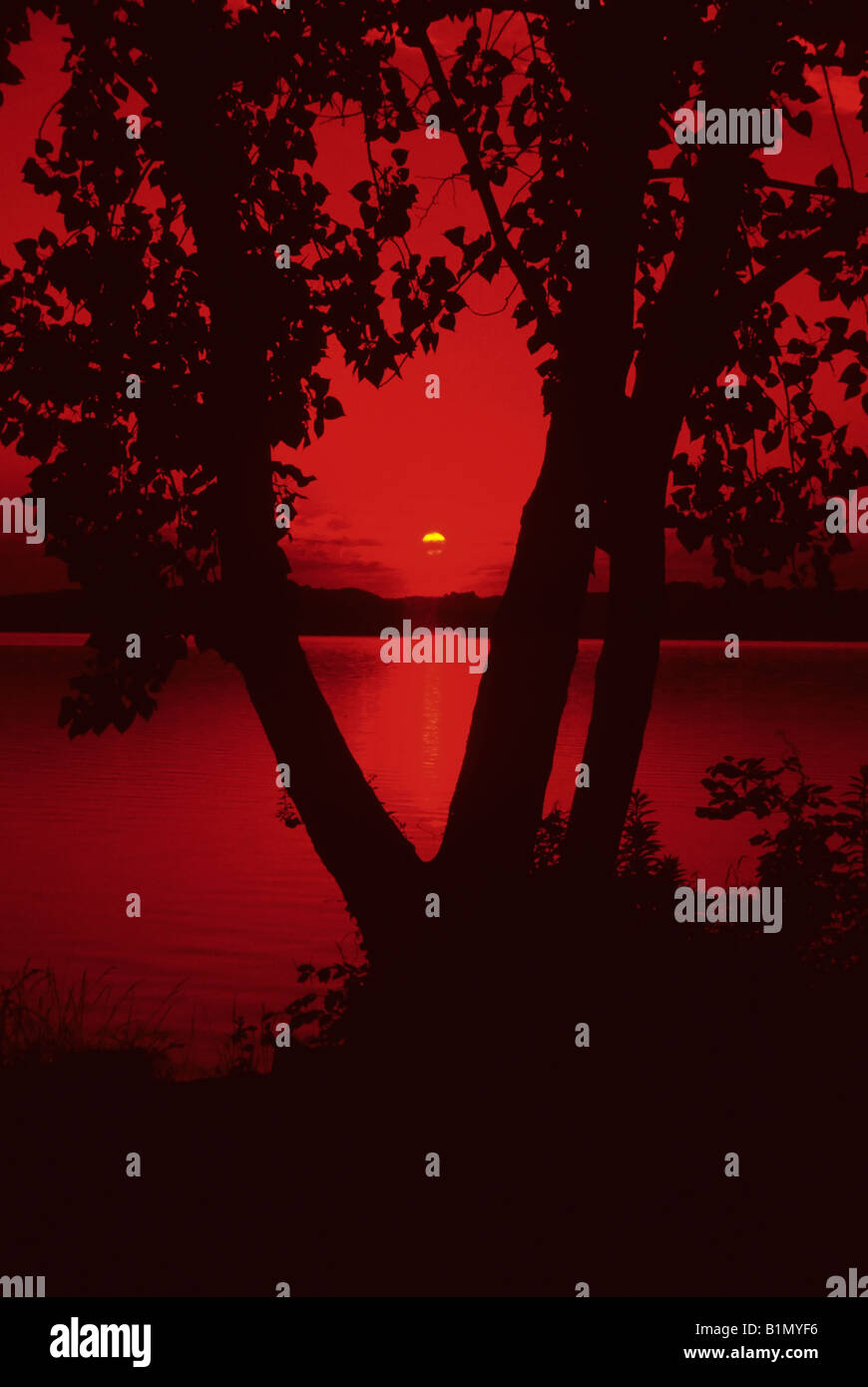 Virginia, USA. Sunrise in Red over the Potomac River Stock Photo - Alamy