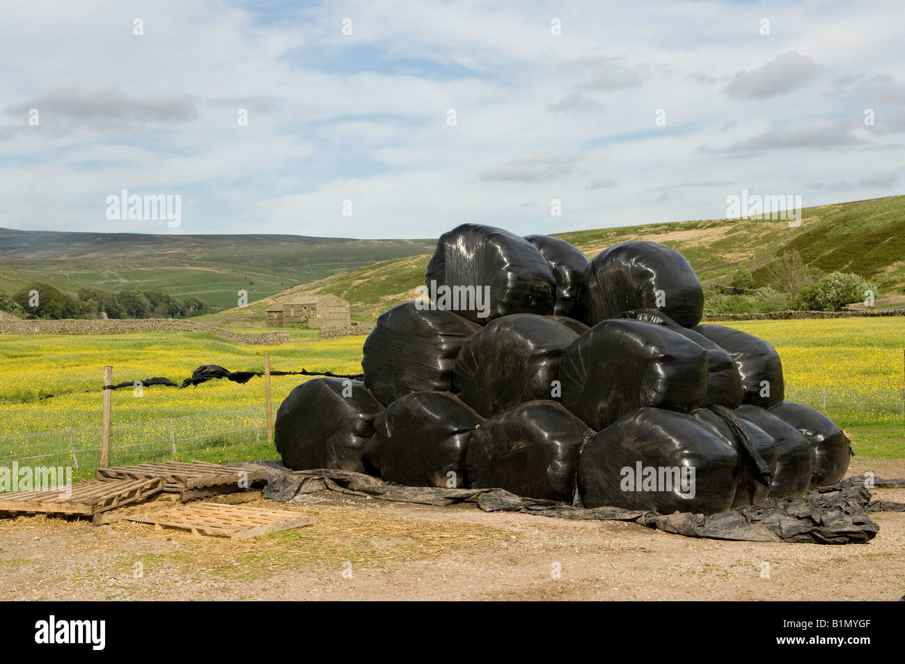 Stack of big bales wrapped in plastic Swaledale North Yorkshire Stock ...