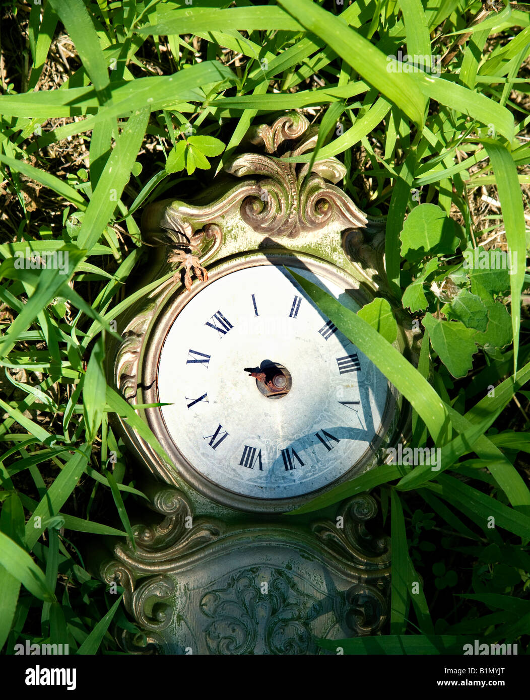 Broken clock lying in grass Stock Photo - Alamy