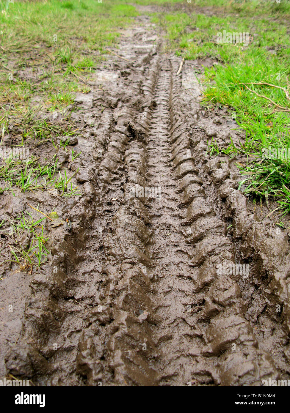 Cycle tyre tracks hi-res stock photography and images - Alamy