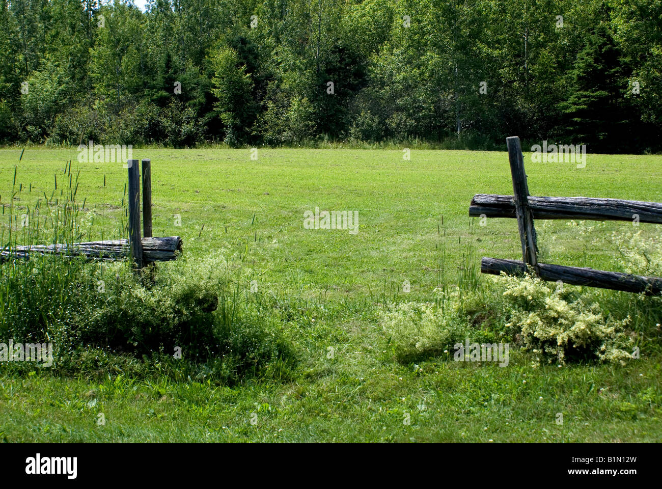 British farm fence hi-res stock photography and images - Alamy