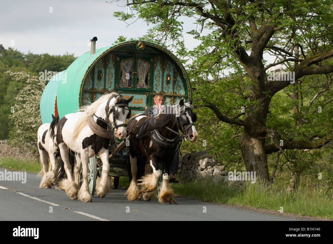 Horse drawn caravan on the road heading to Appleby horse fair On A683 ...