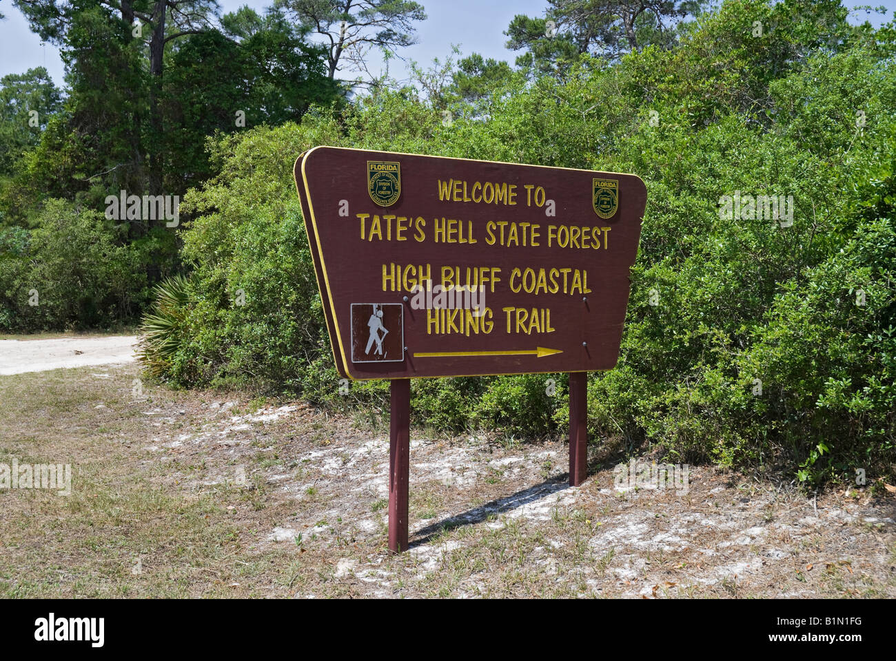 one of entrances to Tates Hell State Forest areas North Florida High ...