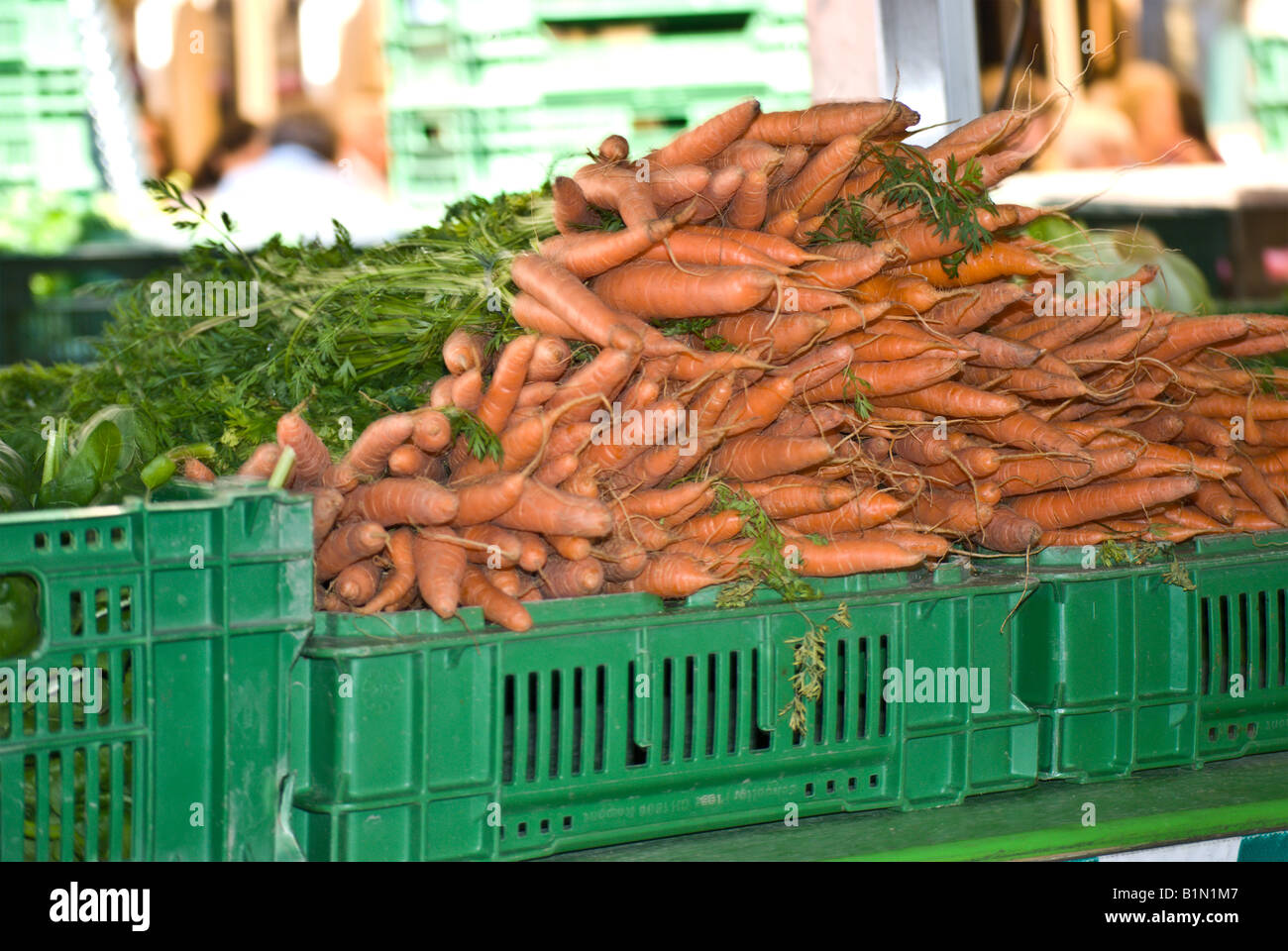 Carrots for sale at the saturday fruit and vegetable market Stock Photo ...
