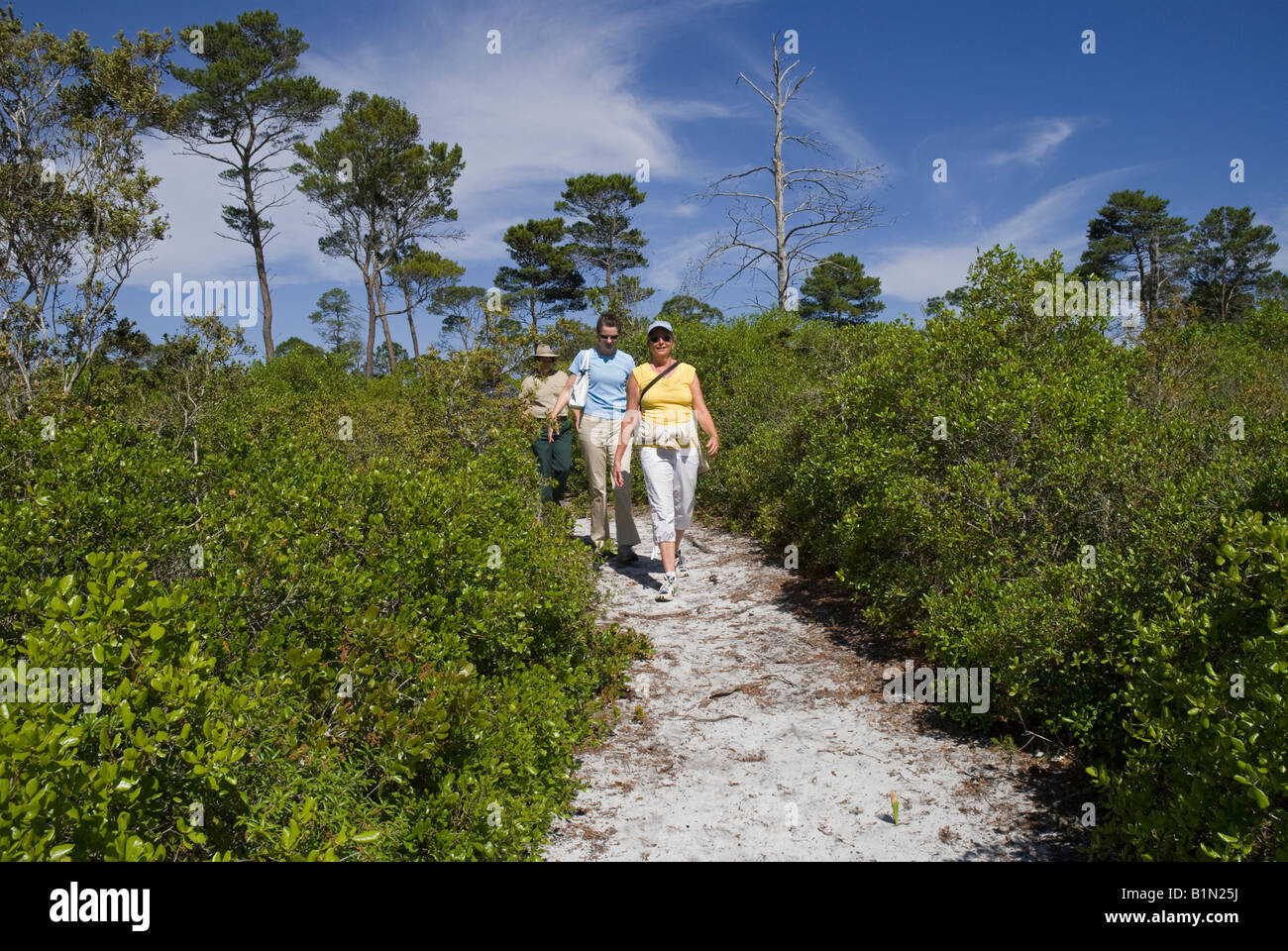 High Bluff Coastal Hiking Trail at Tate s Hell State Forest North ...
