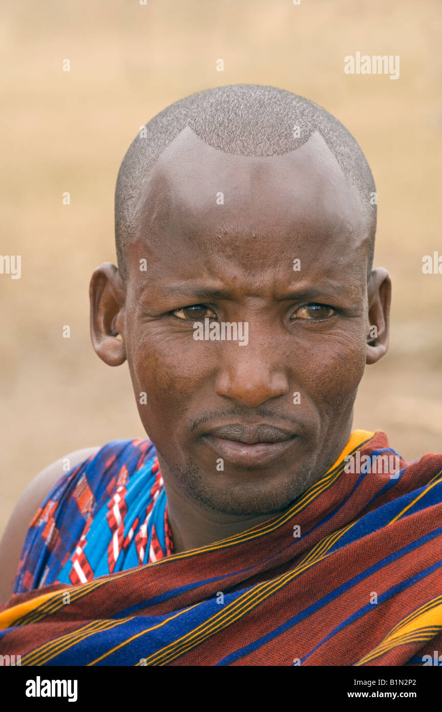 Portrait of a Maasai with shaved head, Tanzania Stock Photo - Alamy